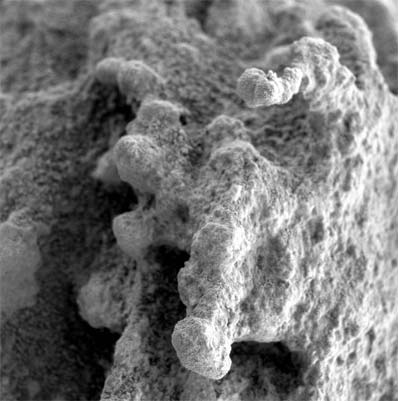 Spaceflight Now | Destination Mars | Mars scientists marvel at ...