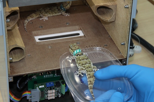 Spaceflight Now | Breaking News | IMAGES: Soyuz rocket blasts off with ...